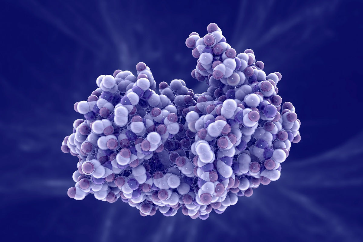 The power of enzymes: What are enzymes and what do they do ...