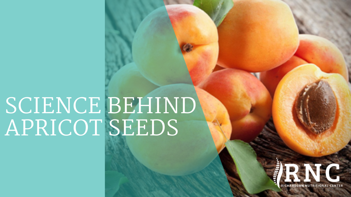 Science Behind Apricot Seeds: New Research Validates Traditional Wisdo ...